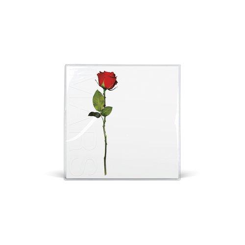 A Beautiful Lie (20th Anniversary Edition) - The Circle